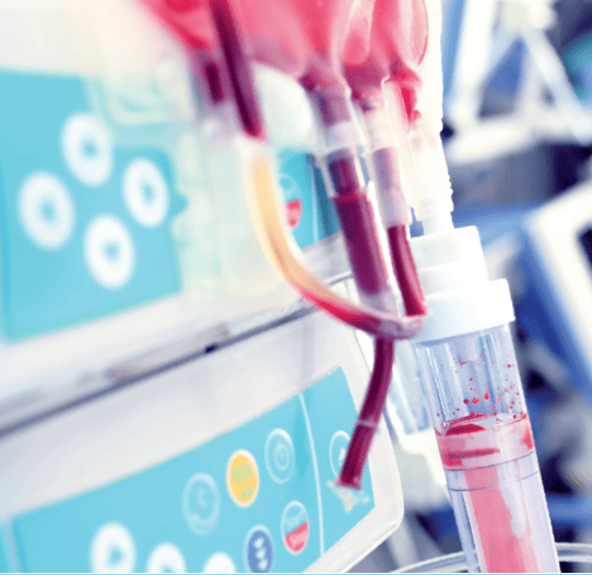 Patient Blood Management | Erfolgreiche Rezertifizierung mit Gold ...